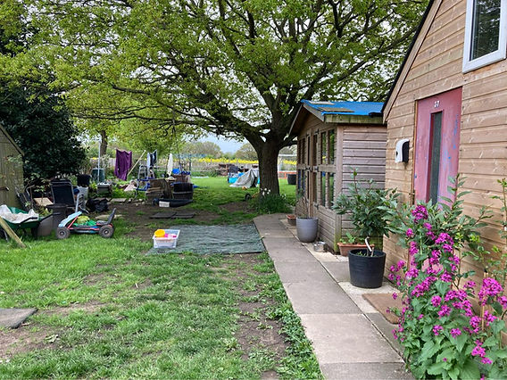 how to make hedgehog friendly garden