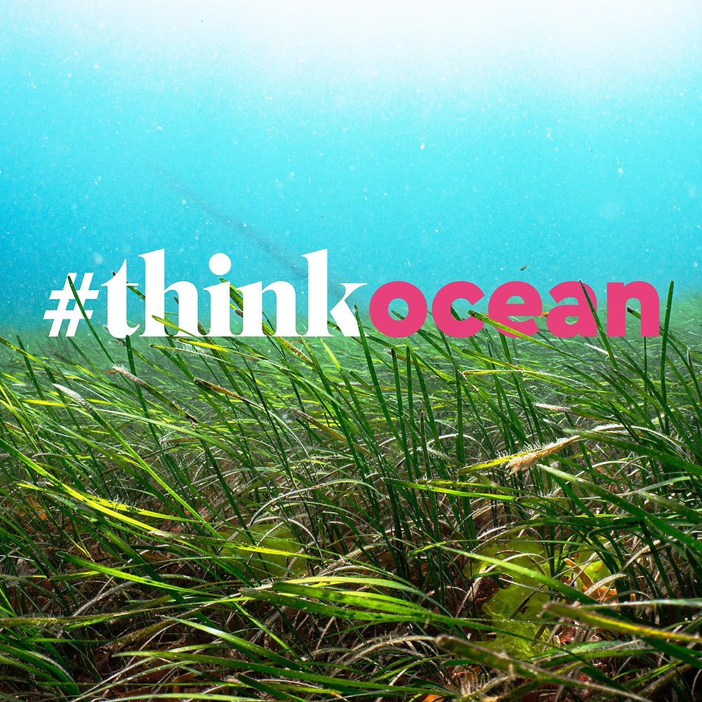 Why is the Ocean Important?