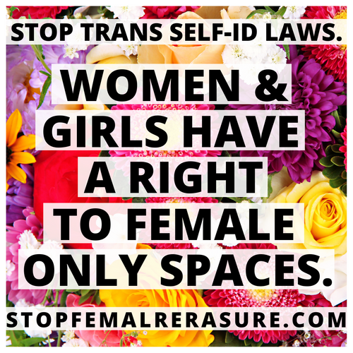 100 Pack - Women & Girls Have A Right - FREE SHIPPING! | Stop Female ...