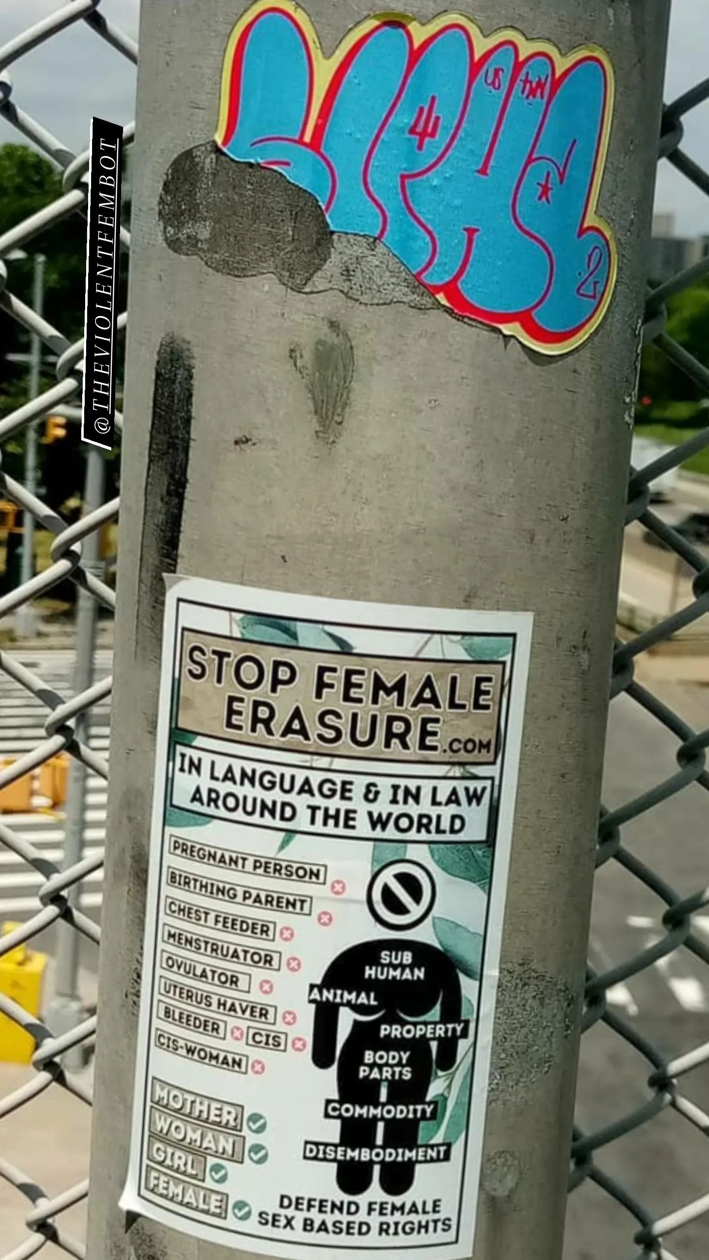 10 Pack - Stop Female Erasure Classic Infographic - Version 2.0 - FREE ...