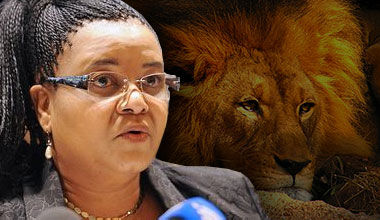 Minister Molewa Publishes the African Lion Non-Detriment Findings