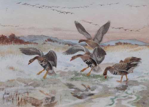 Purchase Winifred Austen Art Online | Gladwell & Patterson