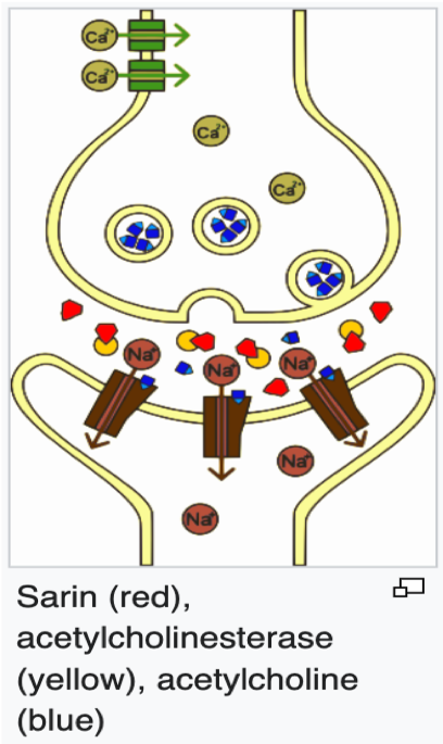 Can It Kill Everyone? The Sarin Gas