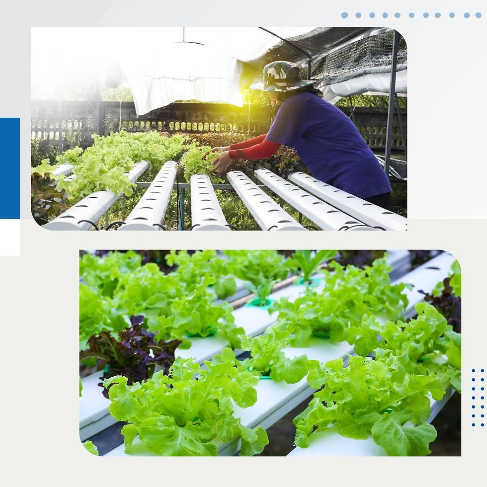 POLYKLEAR FIBERGLASS + RESIN FOR YOUR HYDROPONICS