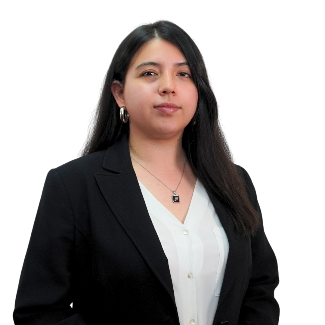 From Distinctive Sign to Cultural Symbol: The Emotional Power of Trademarks