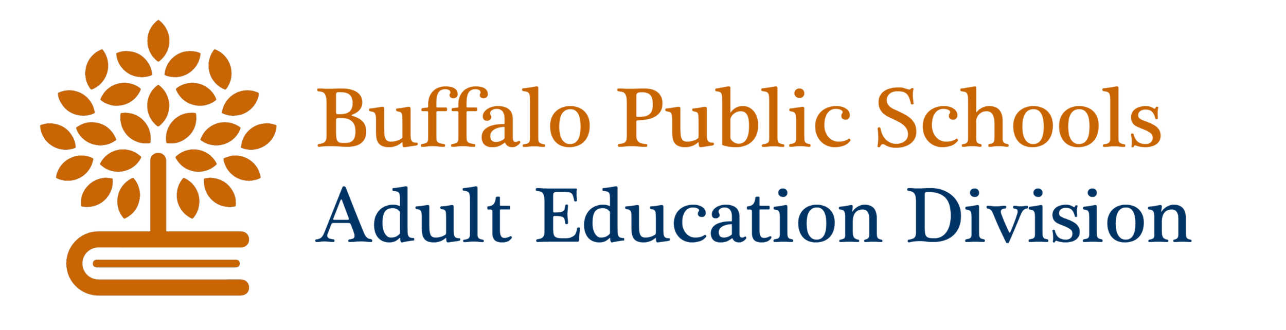 buffalo public schools