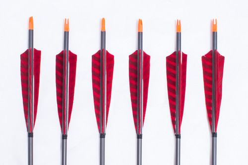 12pc Black Shaft Carbon Arrow | alibow