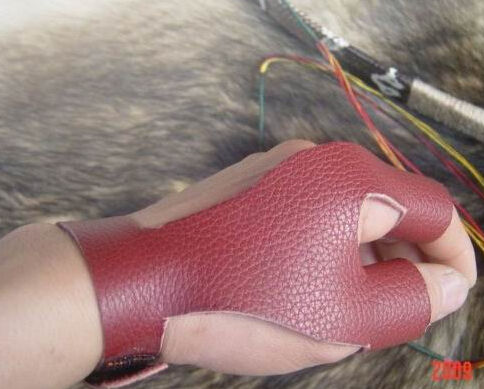 Bow Hand Glove | alibow