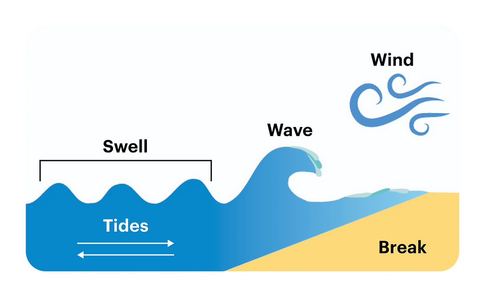 Title: Decoding the Forecast: Navigating Waves Swell with Captain Brad