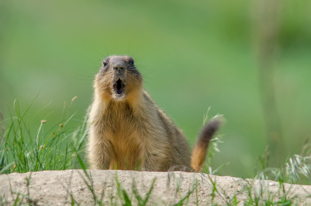 Does your life feel like Groundhog Day? 3 simple ways to get unstuck