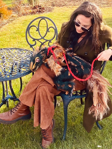 Alternative Pets | WaterDragonstudios