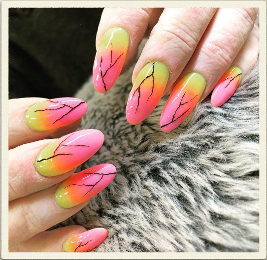 SNS - Signature Nail System with Hard Certificate | JudyNguyen Academy