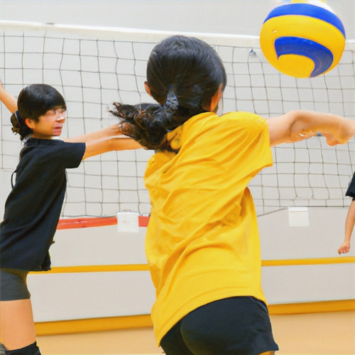 Beginner Drop In | Reno Volleyball Club