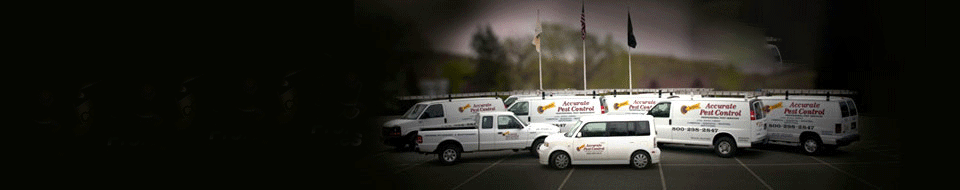 Residential Pest Control