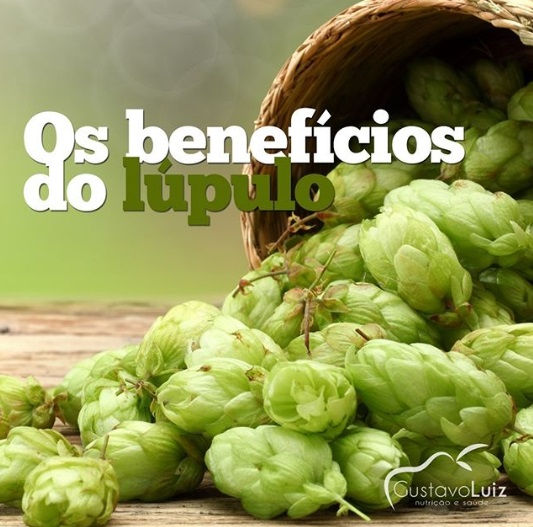 Benefícios do Lúpulo