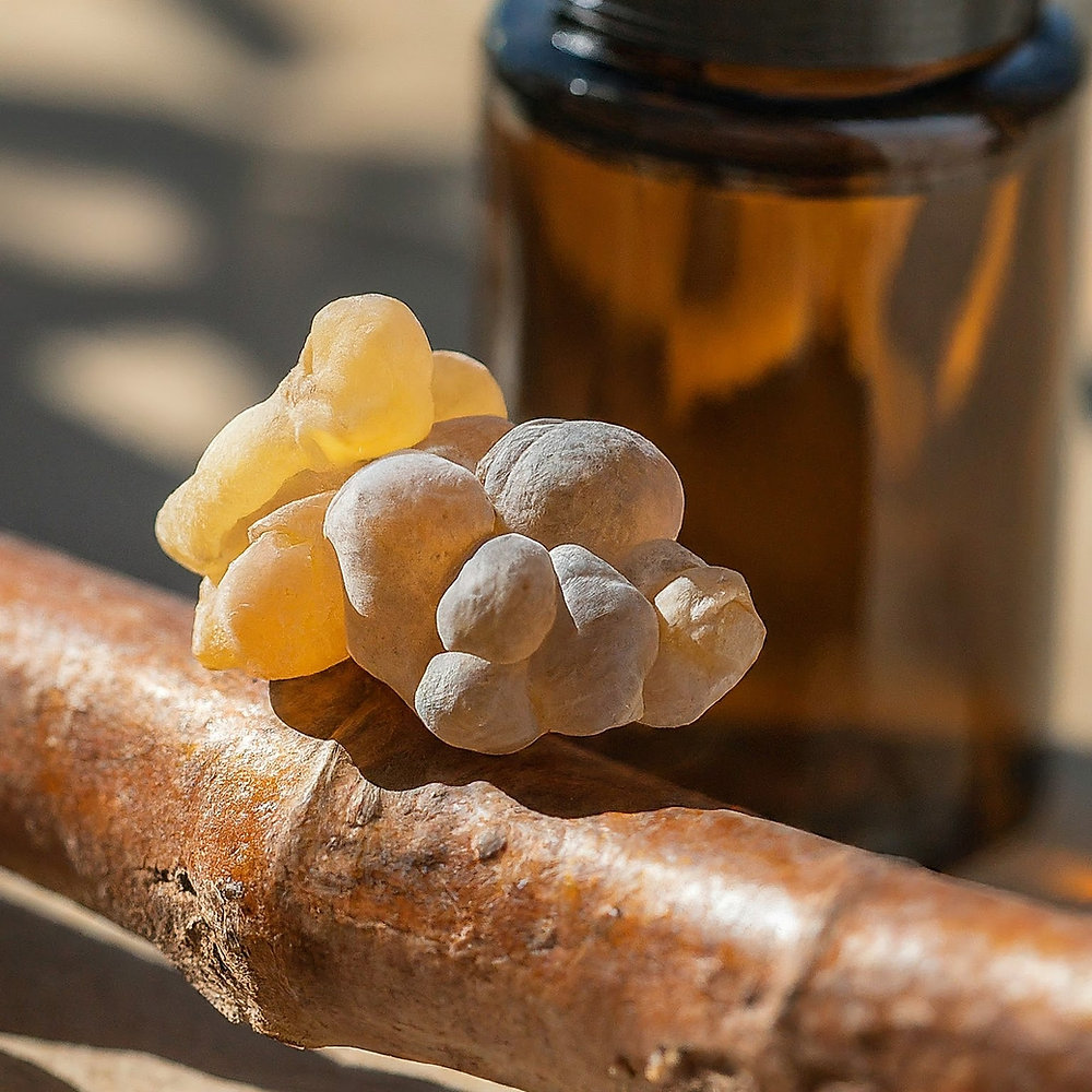 Unveiling the Ancient Wisdom: The Power and Promise of Frankincense Oil