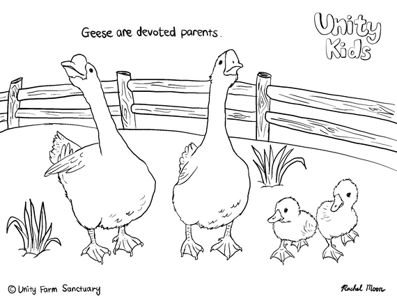 Animal-Themed Coloring Pages | Unity Farm Sanctuary