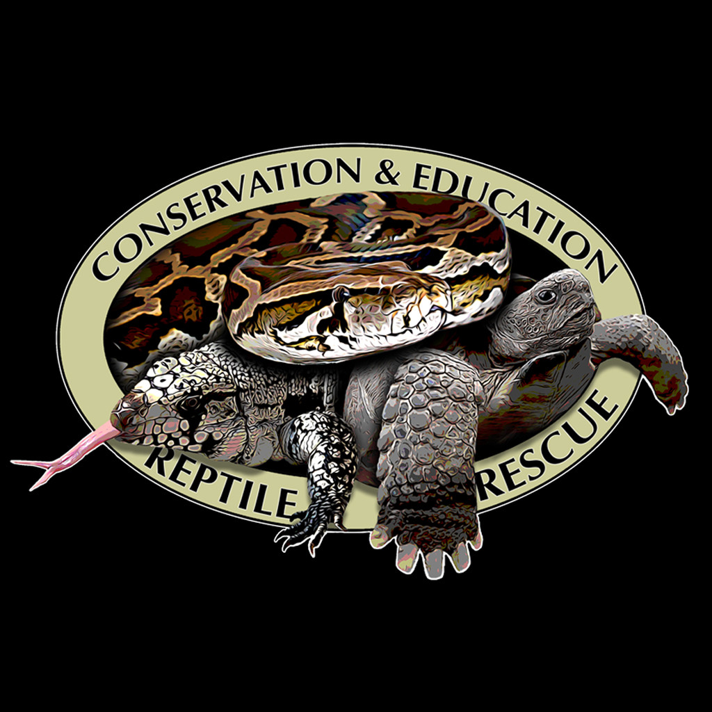 Conservation and Education Reptile Rescue | pet reptile rescue | 132b S ...