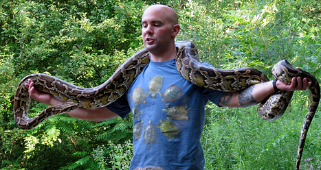 Percy's Story | CE Reptile Rescue