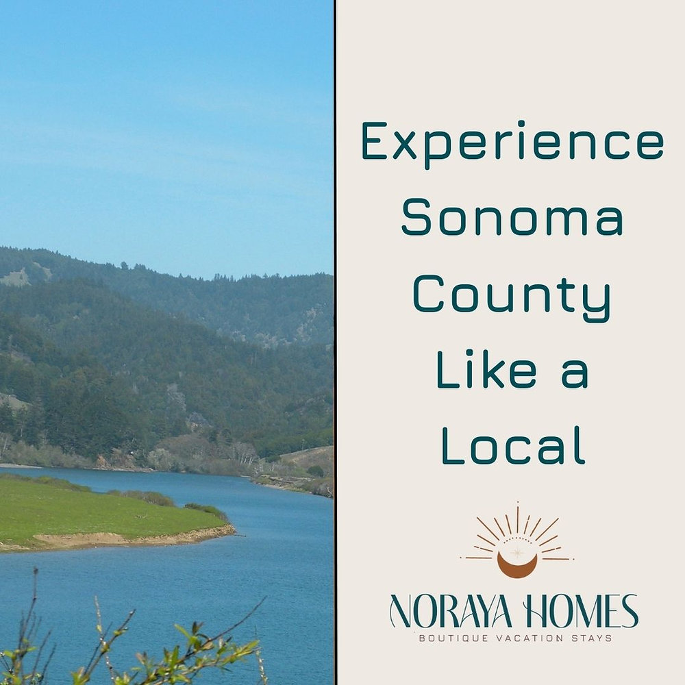 Experience Sonoma County Like a Local