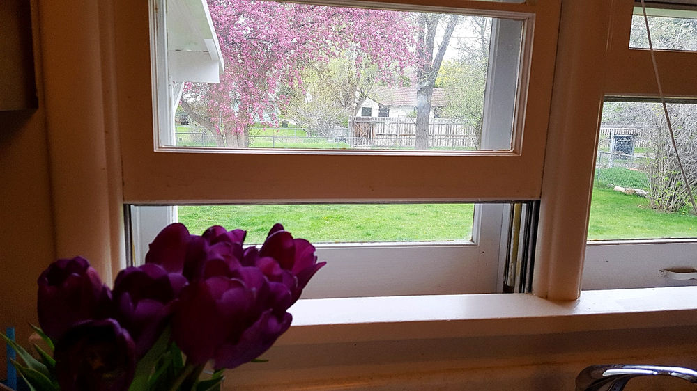 How to make your window instantly larger