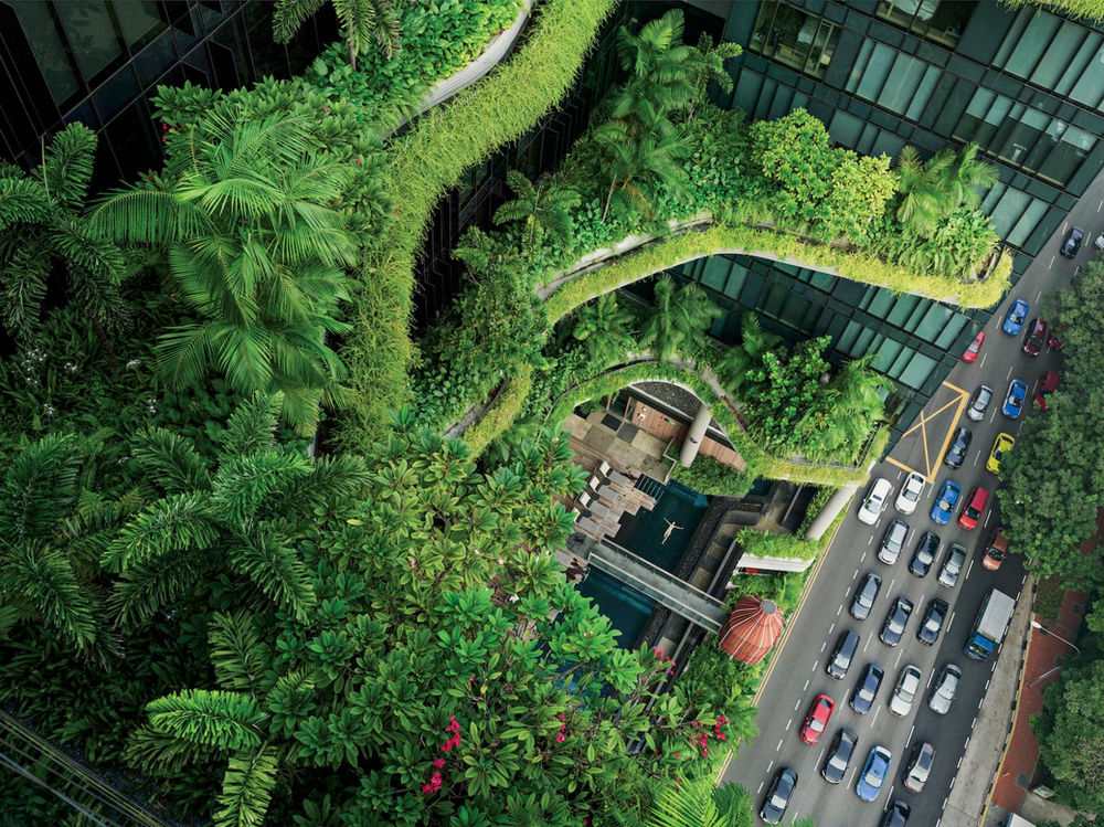 We Need Greener Cities NOW 🎥