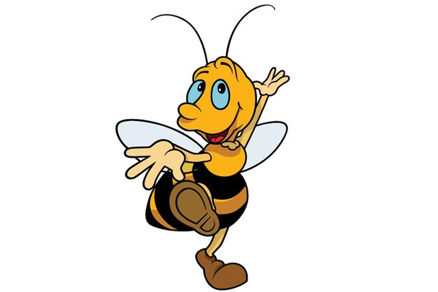 Did you know: The Dance of the Honey Bee 🎥