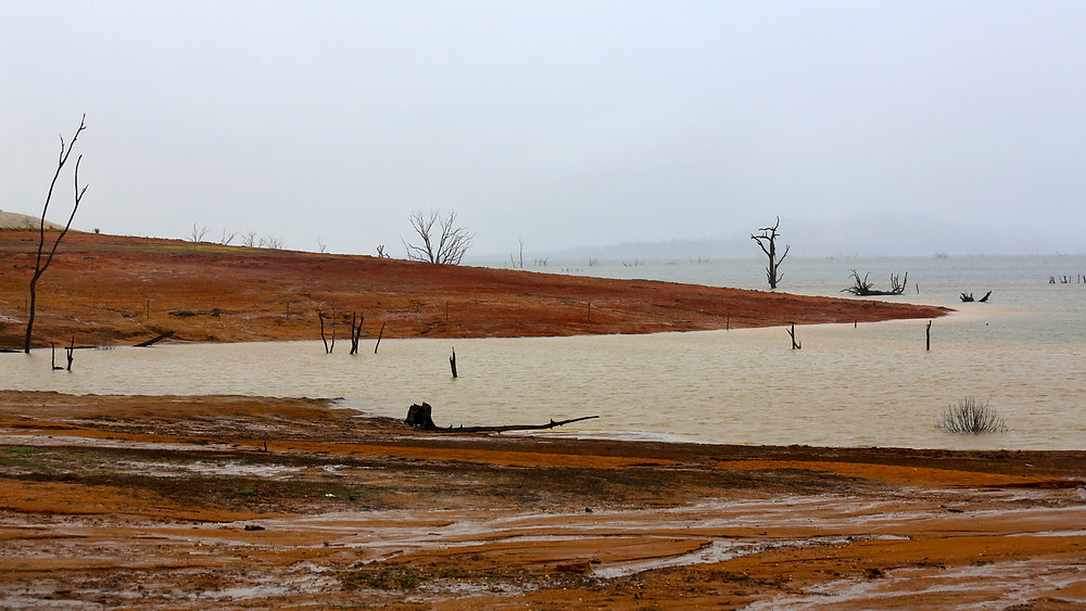 Ecosystems in Australia Collapsing - An Existential Threat 🎥
