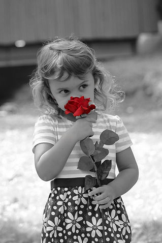 Blue Line Photography LLC Portfolio