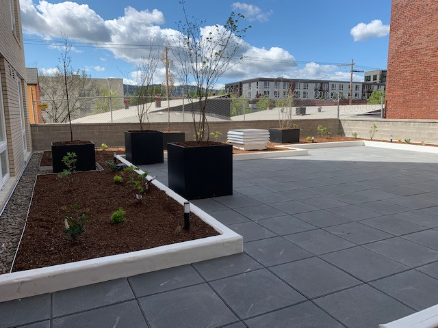 Koz on NW 16th | Koz