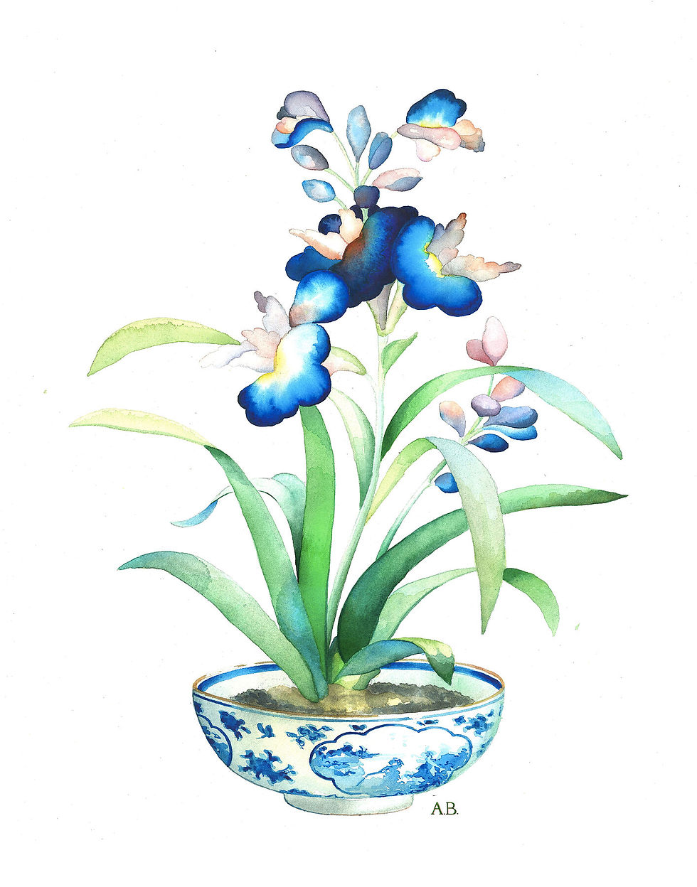 PRINTS | ALDOUS BERTRAM