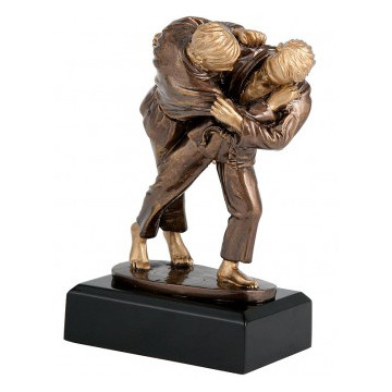 Martial Arts Judo Hip Throw Trophy | jandctrophies
