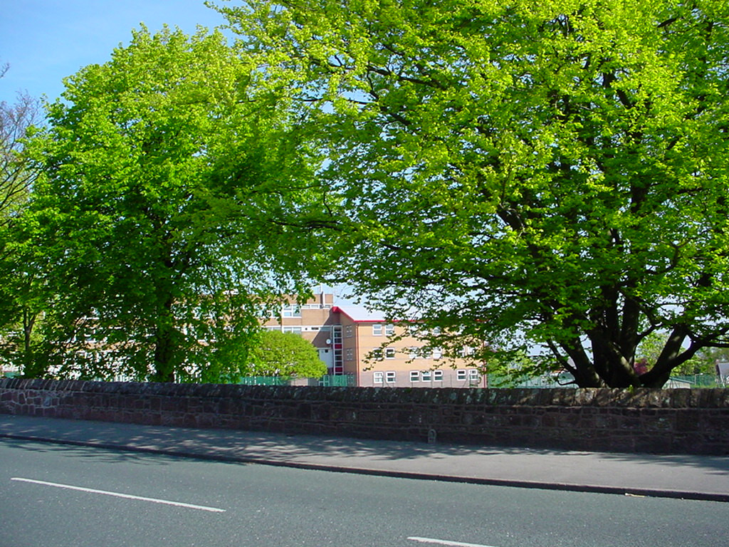 Parents | Welcome to Calday!