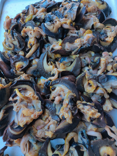 Fresh, Frozen, Jumbo Snails - 1 lb | pristinesupermart