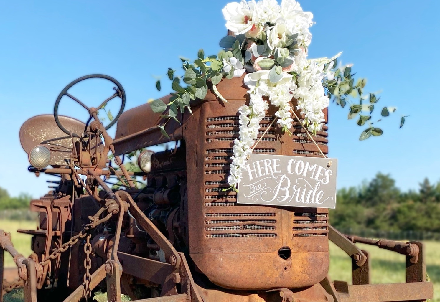 Our Story | Say Grace Farms