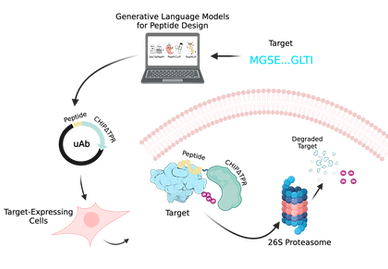 Chatterjee Lab | Welcome to the Programmable Biology Group!