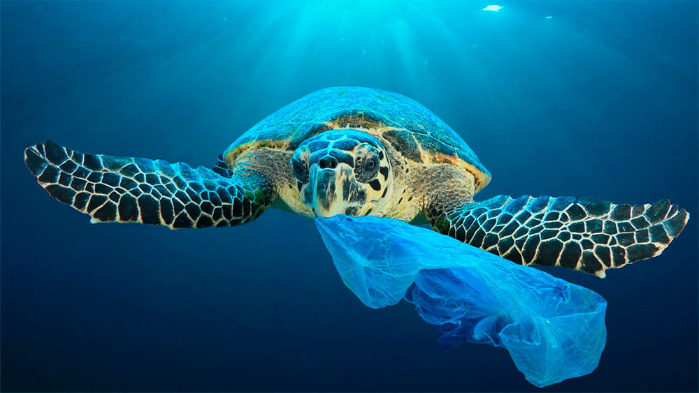 Entenda como os microplásticos afetam os oceanos e o ser humano