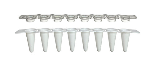 qPCR strip tubes and caps 0.1 mL x 8 - Blancos | biodynamics