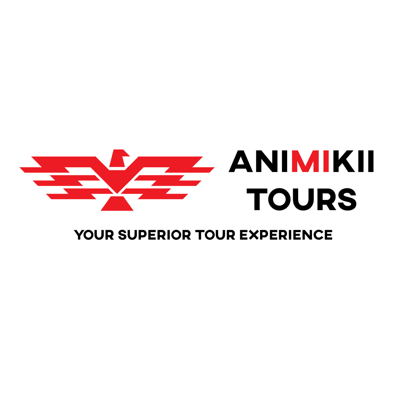 Animikii Tours