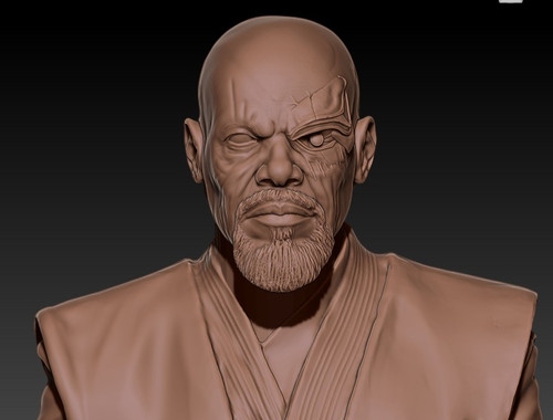 Mace Windu (Survived version) | Customs Cave Store
