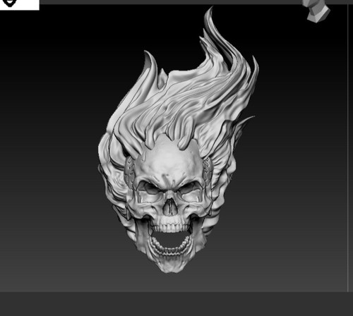 Ghost Rider | Customs Cave Store