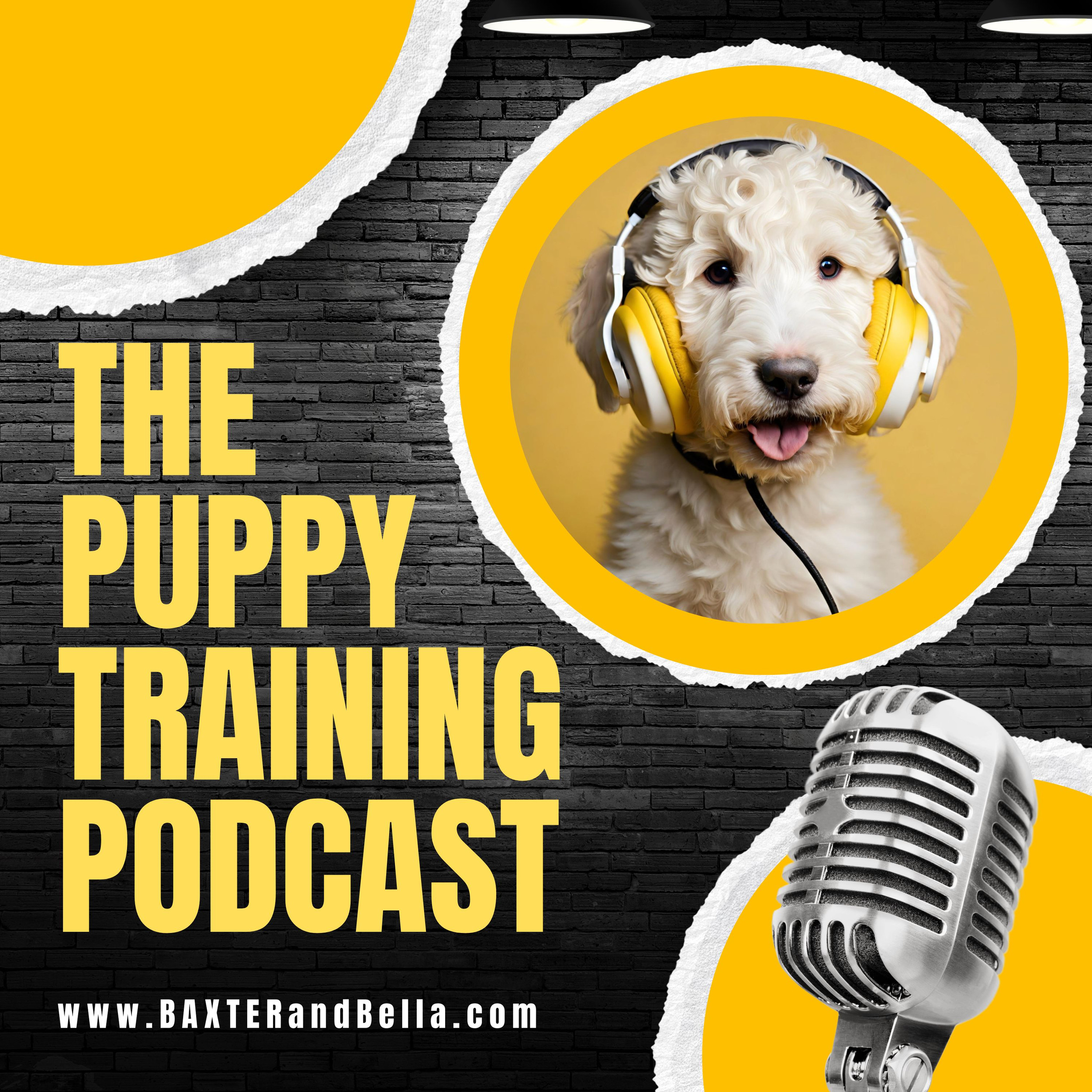 THE PUPPY TRAINING PODCAST | BAXTER & Bella