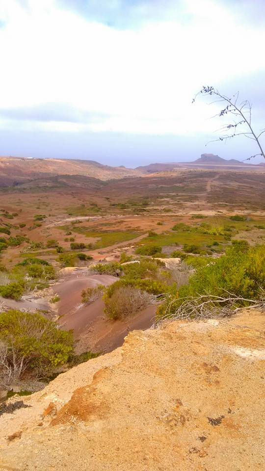 Taking a St Helena Island tour