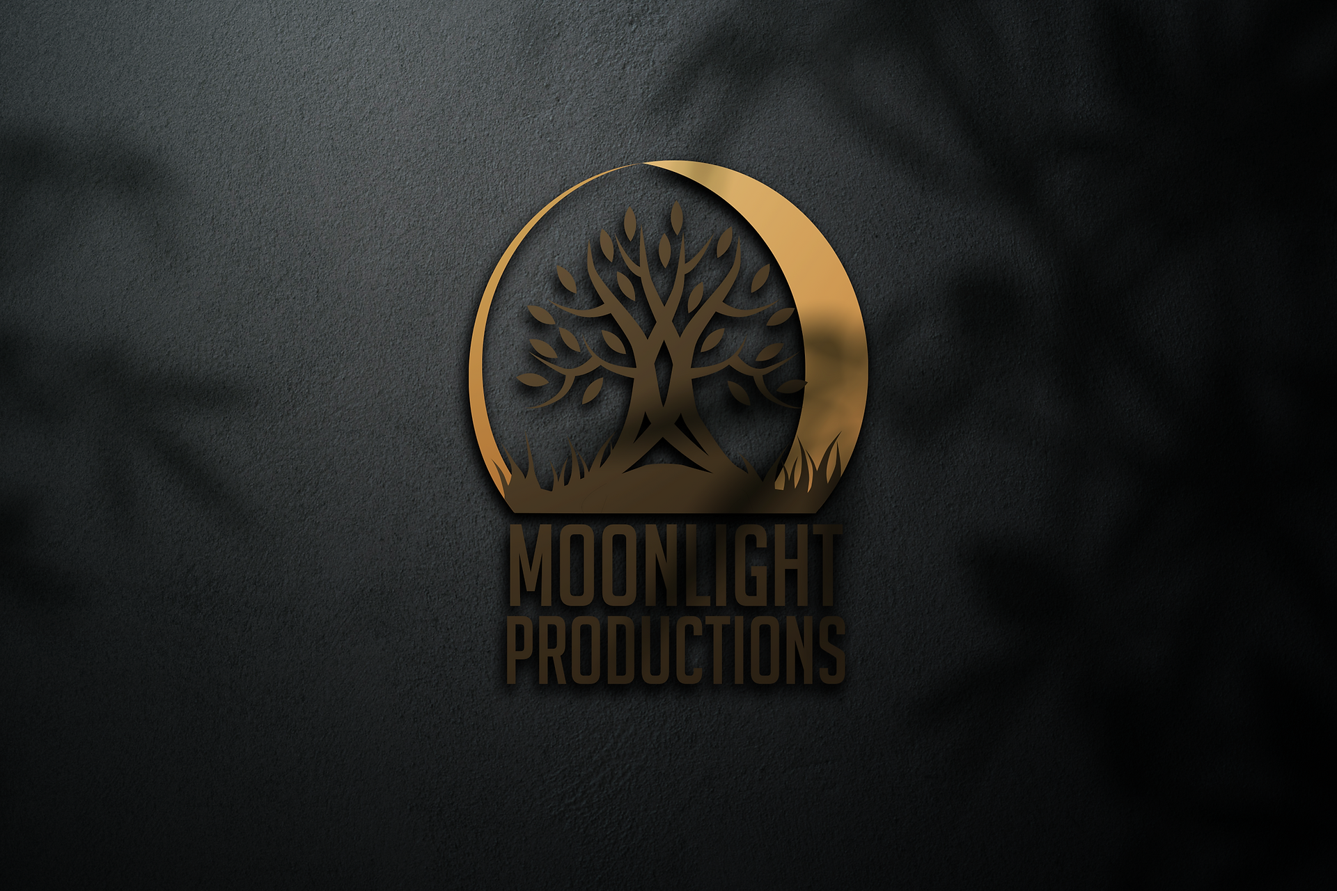 Production | Moonlight Productions Llc | Houston