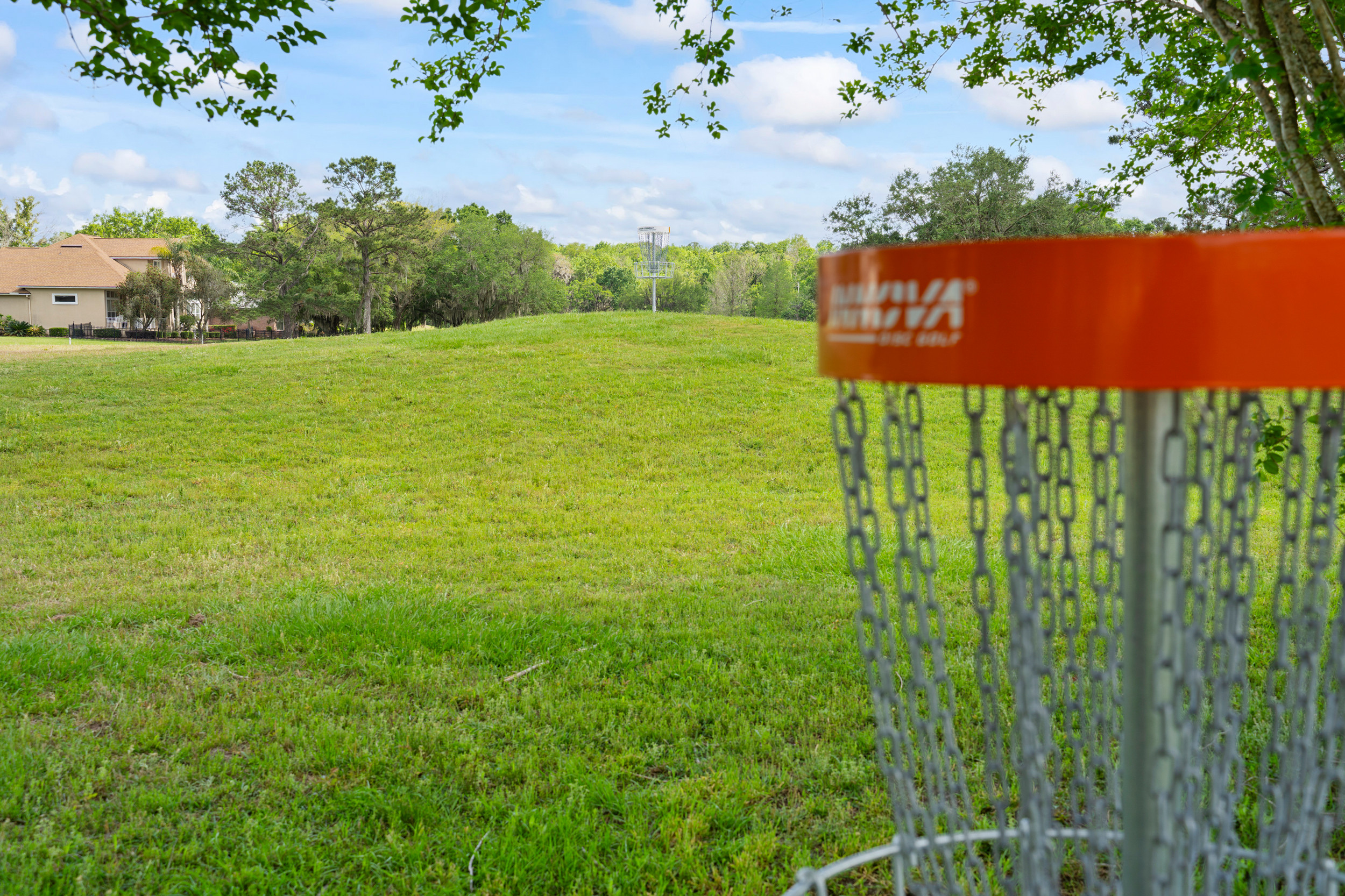Disc Golf Orange Park FL | The Grove Course