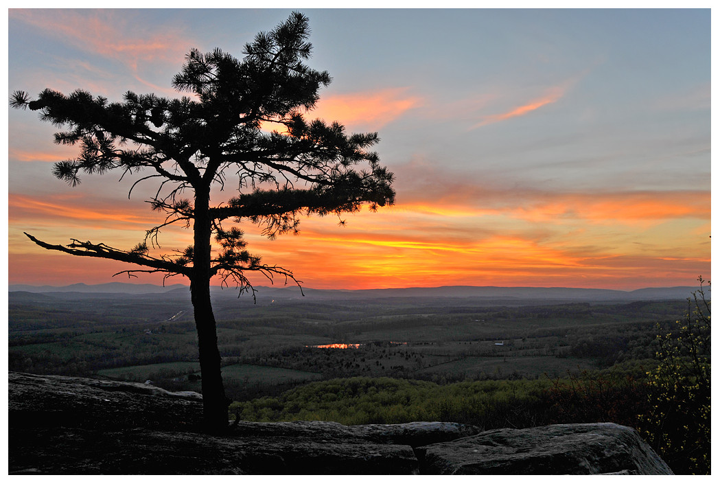 Home | Bull Run Mountains Conservancy
