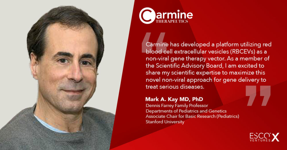 Prof Mark Kay MD, PhD Joins Carmine's Scientific Advisory Board