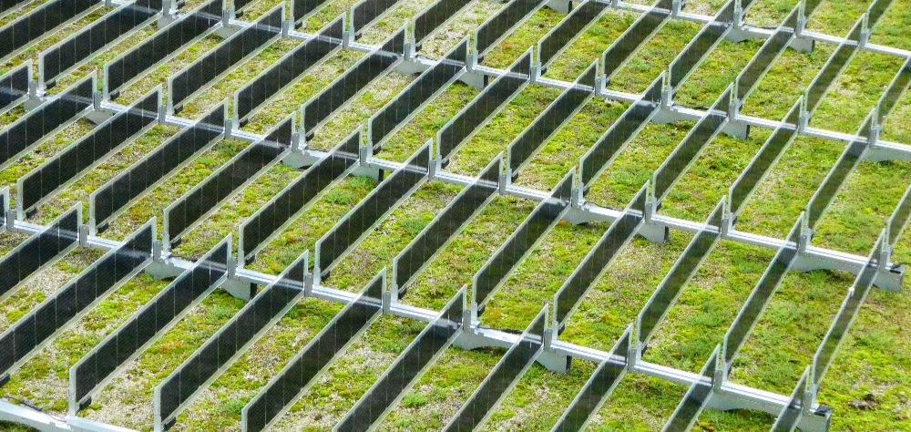 Over Easy Solar - Vertical Solar Panels for Green Roofs and Flat Roofs