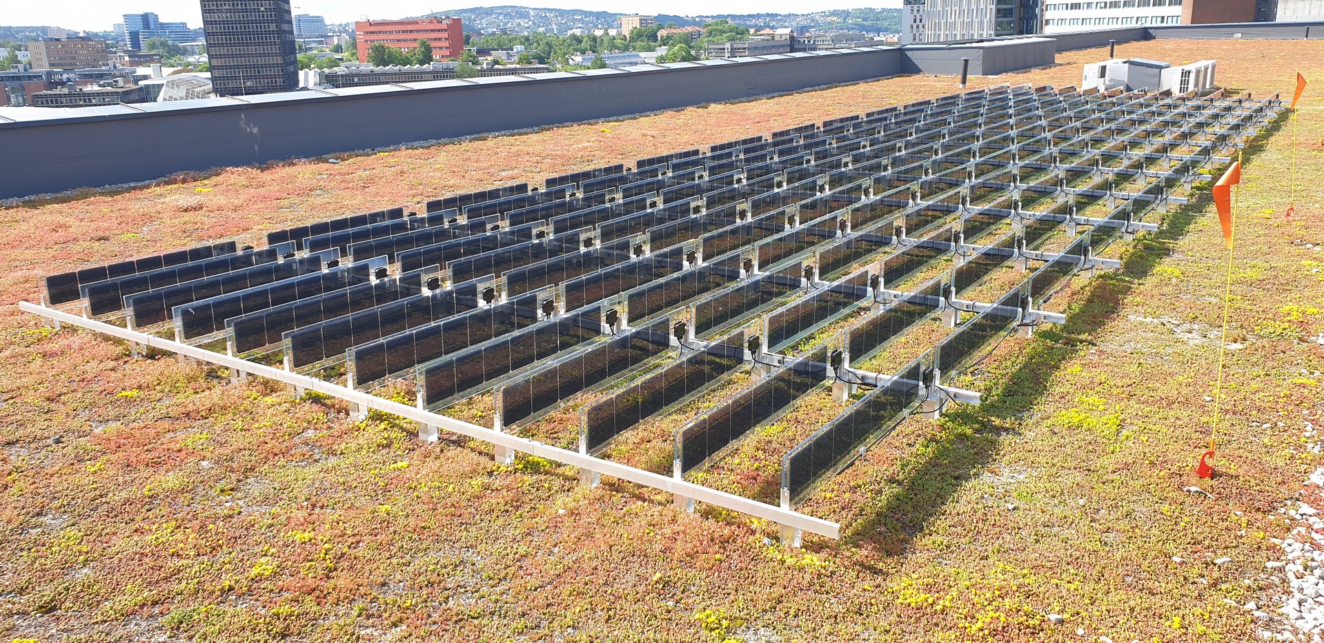 Løren School: Oslo’s First Green Roof with Vertical Solar Panels