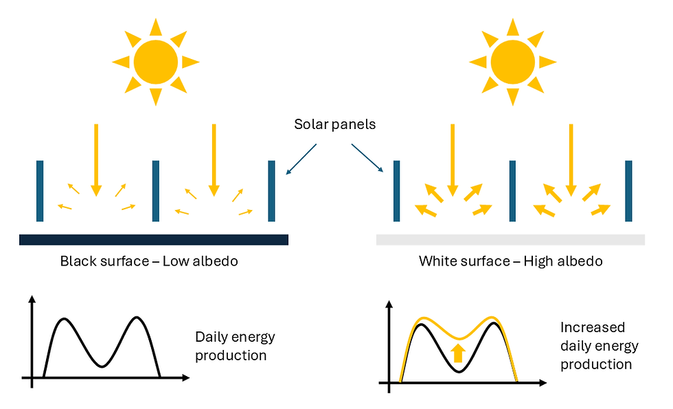 Vertical Bifacial Solar Panels and Albedo